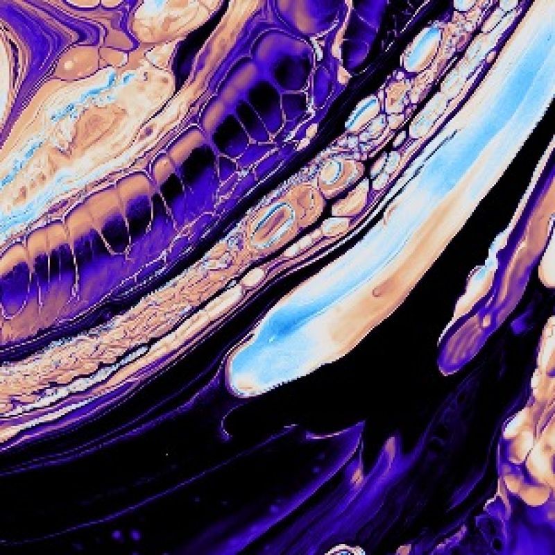 ColoXus | Spinnin' Records