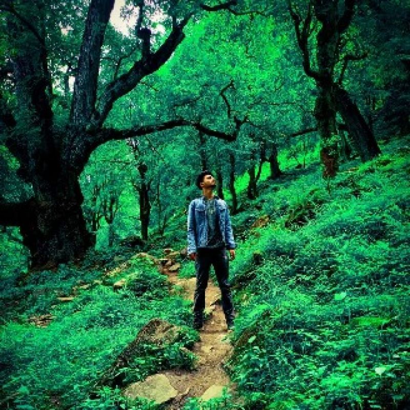 CEZEN_MUSIC | Spinnin' Records